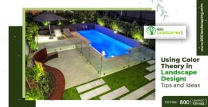 Using Color Theory in Landscape Design: Tips and Ideas