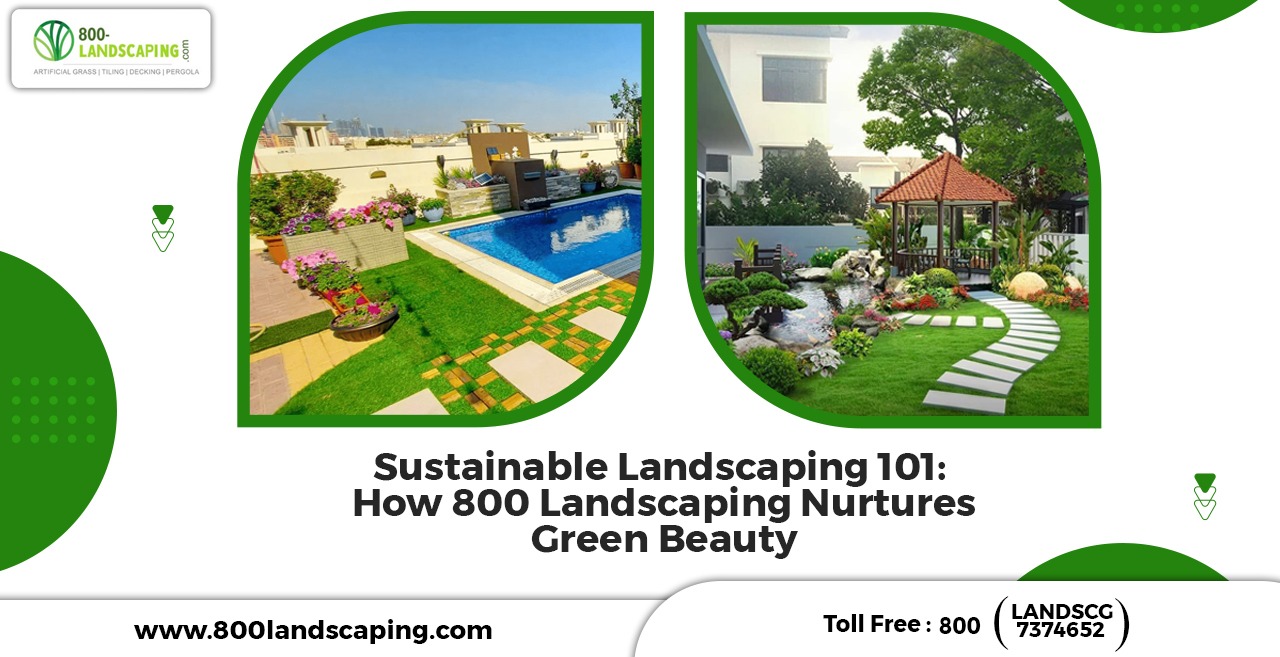 Sustainable Landscaping 101: How 800 Landscaping Nurtures Green Beauty?